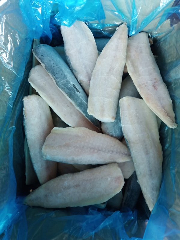 Pacific mackerel – Taizhou Xunrui Foods