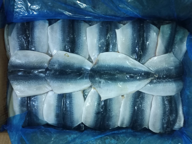 Pacific mackerel – Taizhou Xunrui Foods